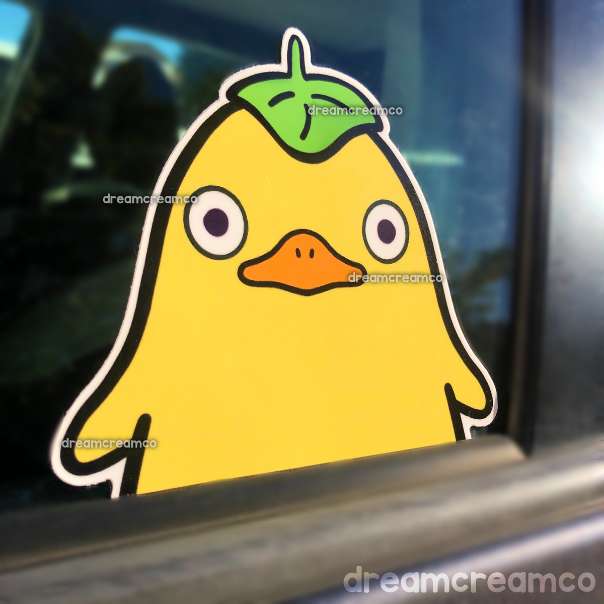 Leafy Duck Peeker Sticker – dreamcreamco